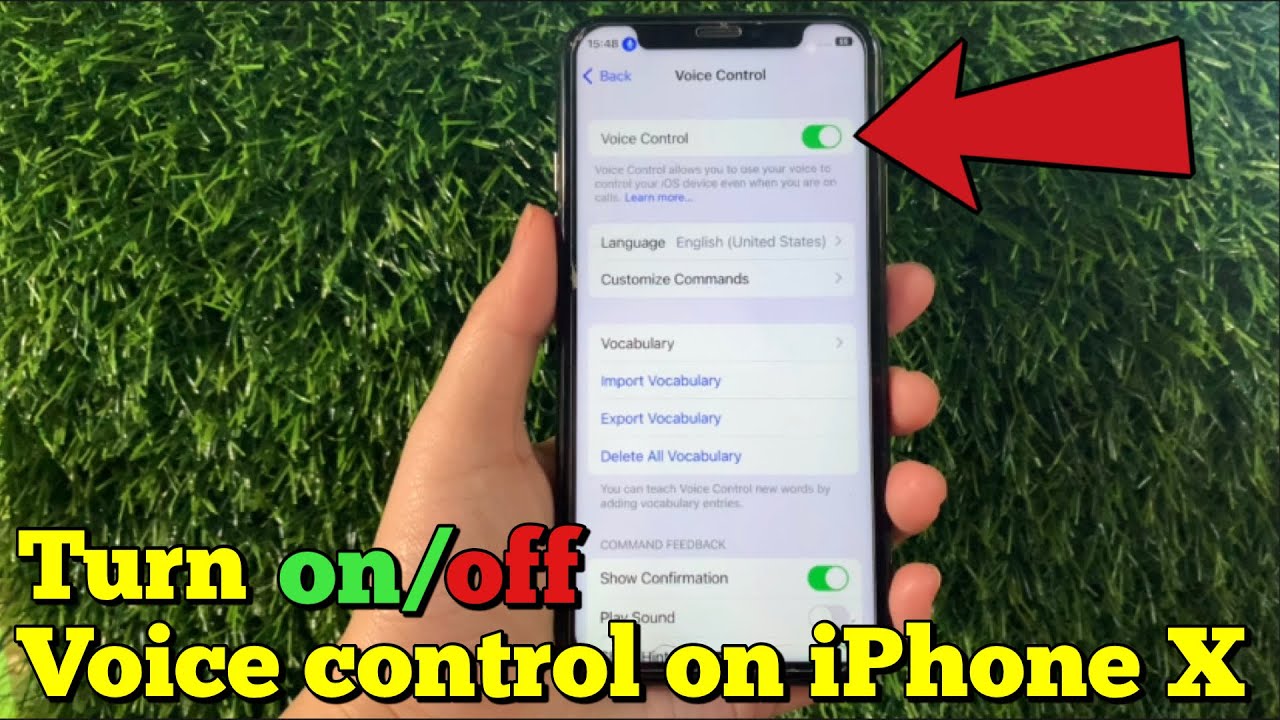 How to turn on or off voice control on iPhone X - YouTube