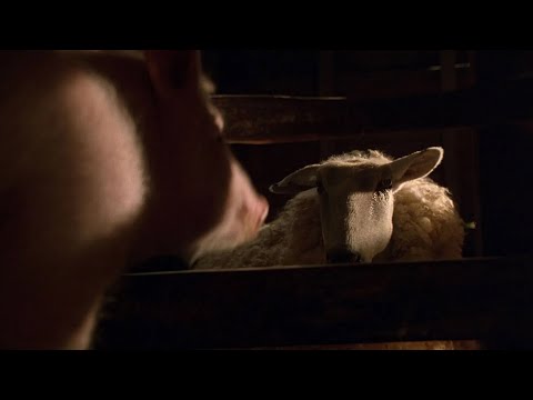 Babe- Babe meets Maa