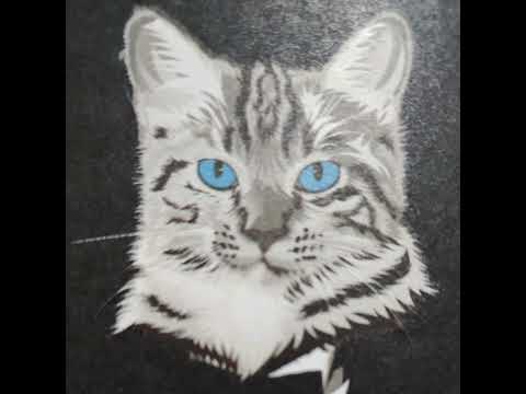 syke Dali taze yüz soygulim