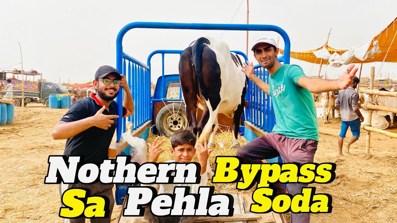 Finally 12 hours😱ki mehnat k bad soda hogaya 🥳|| Taha bhai ki bachri ko ...