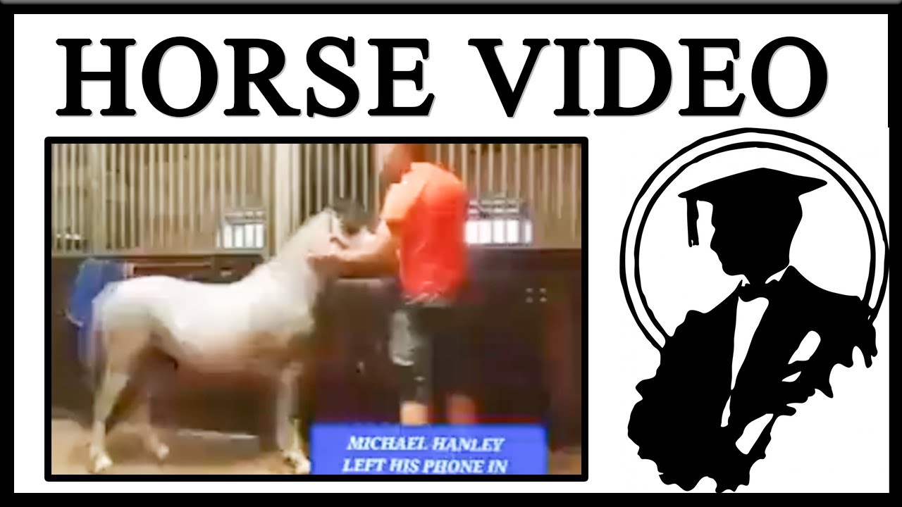 Do Not Watch The Horse Video - YouTube