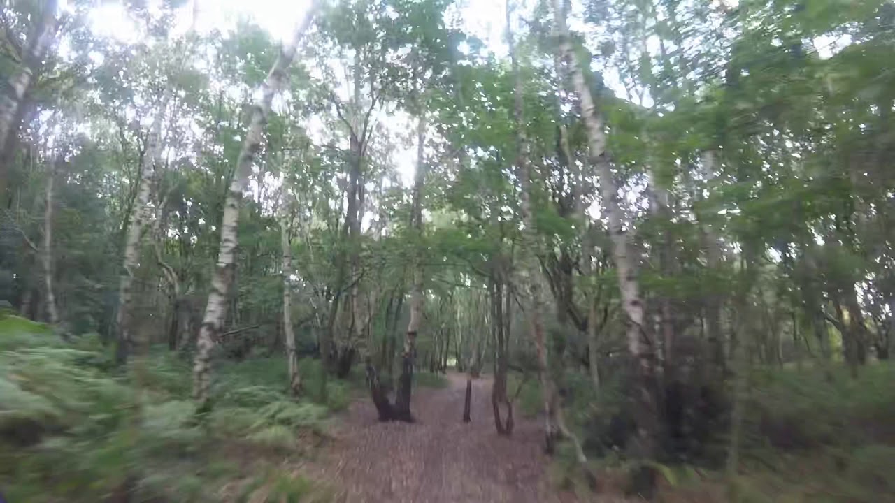 Canklow woods, Rotherham - YouTube