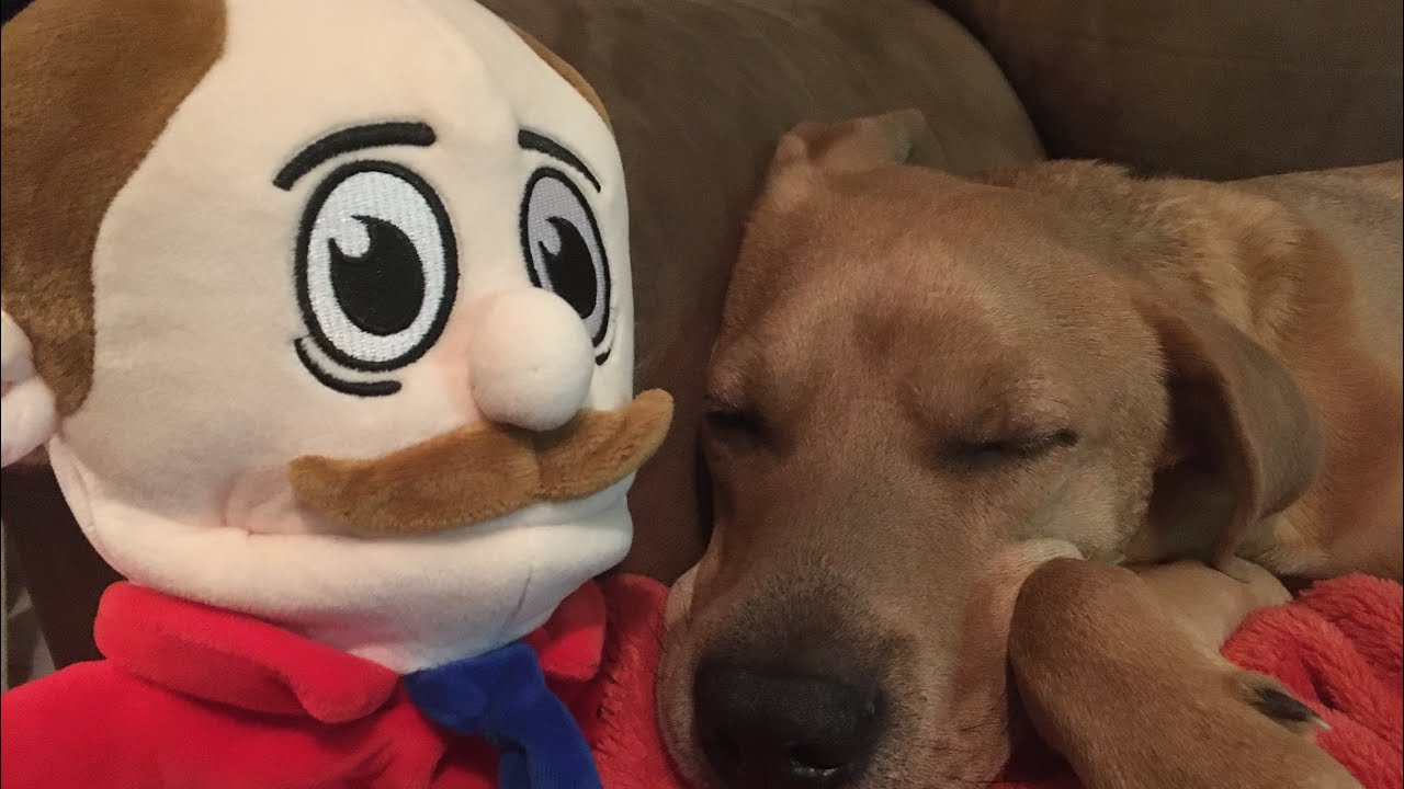 Sml Mario puppet unboxing - YouTube