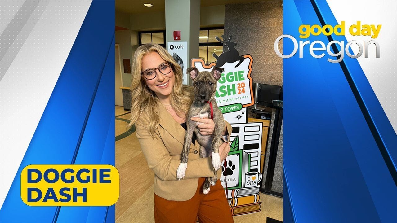 OHS Doggie Dash happening Saturday - YouTube