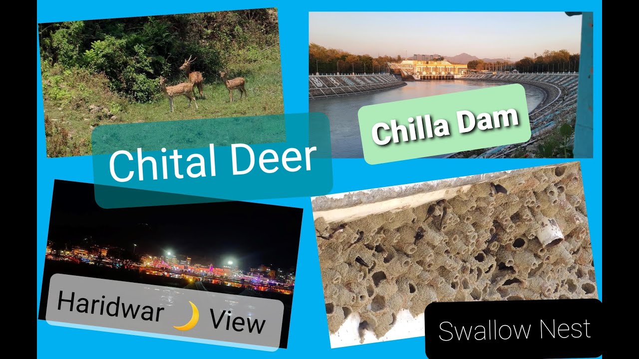 CHILLA DAM {Rajaji National Park} - YouTube