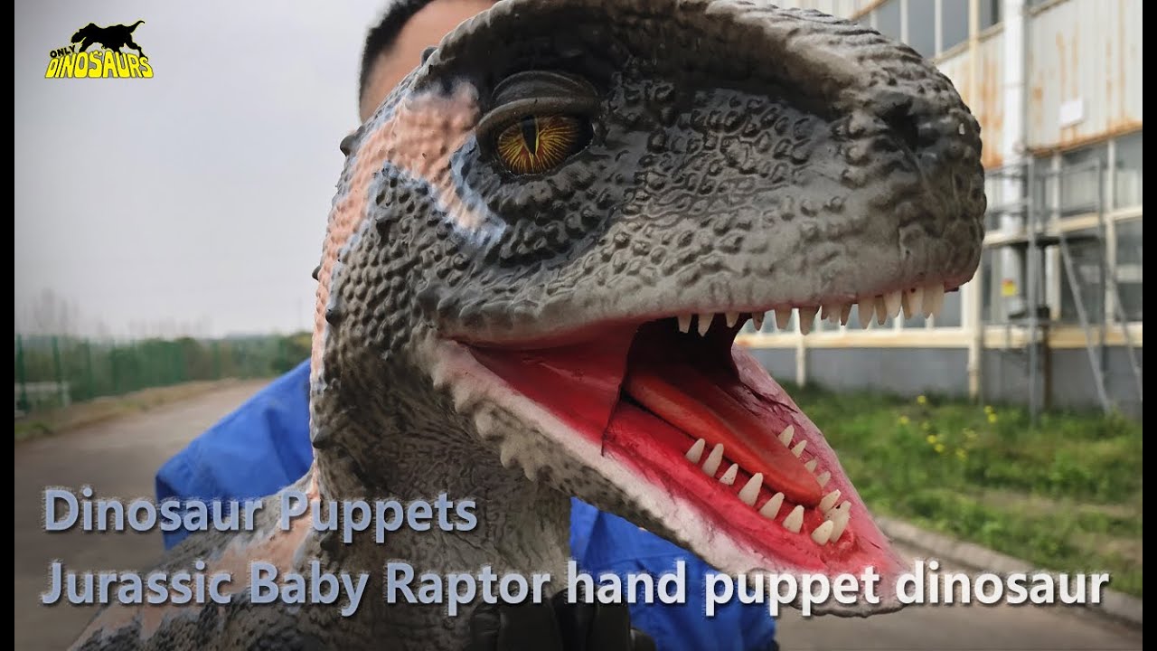 Jurassic Baby Blue Raptor Dinosaur Hand Puppet | Dinosaur puppets - YouTube
