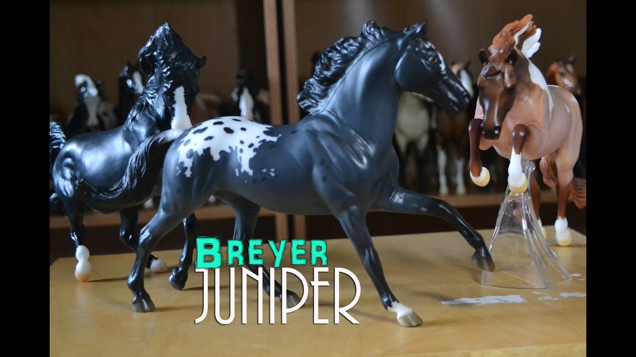 Breyer Collectors Club Juniper Review | Megakillerwhales - YouTube
