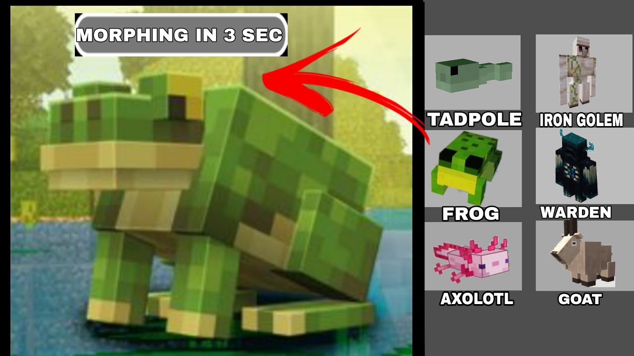 New Latest Morph Mod for Minecraft Pe & Bedrock Mod| Download| - YouTube