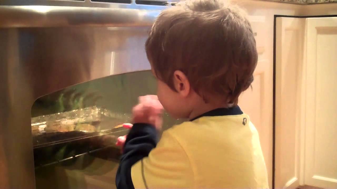 ABC Fries! - YouTube