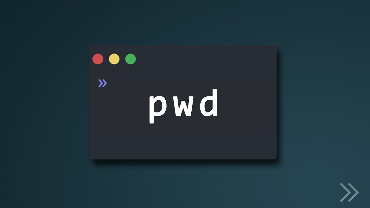1-commande de base linux : pwd(print working directory) - YouTube