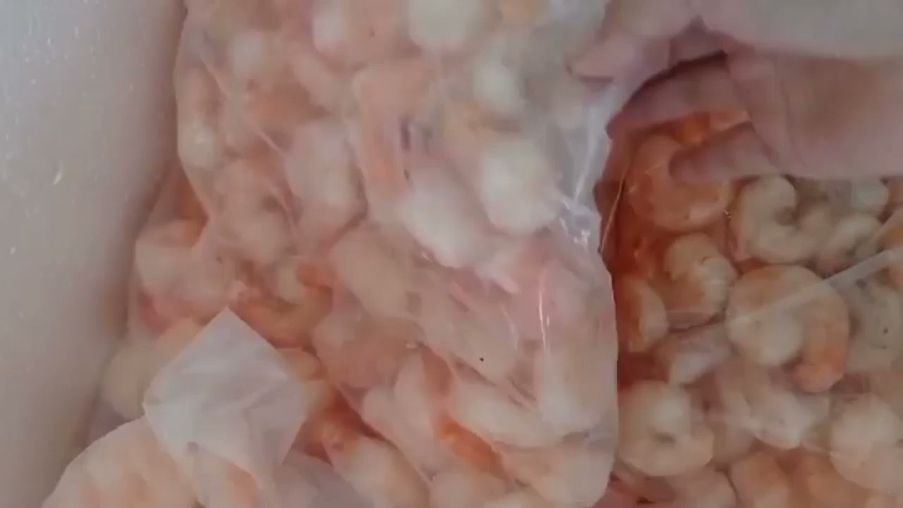 Udang Cook / Udang kupas Olahan Premium Small Frozen Segar. - YouTube