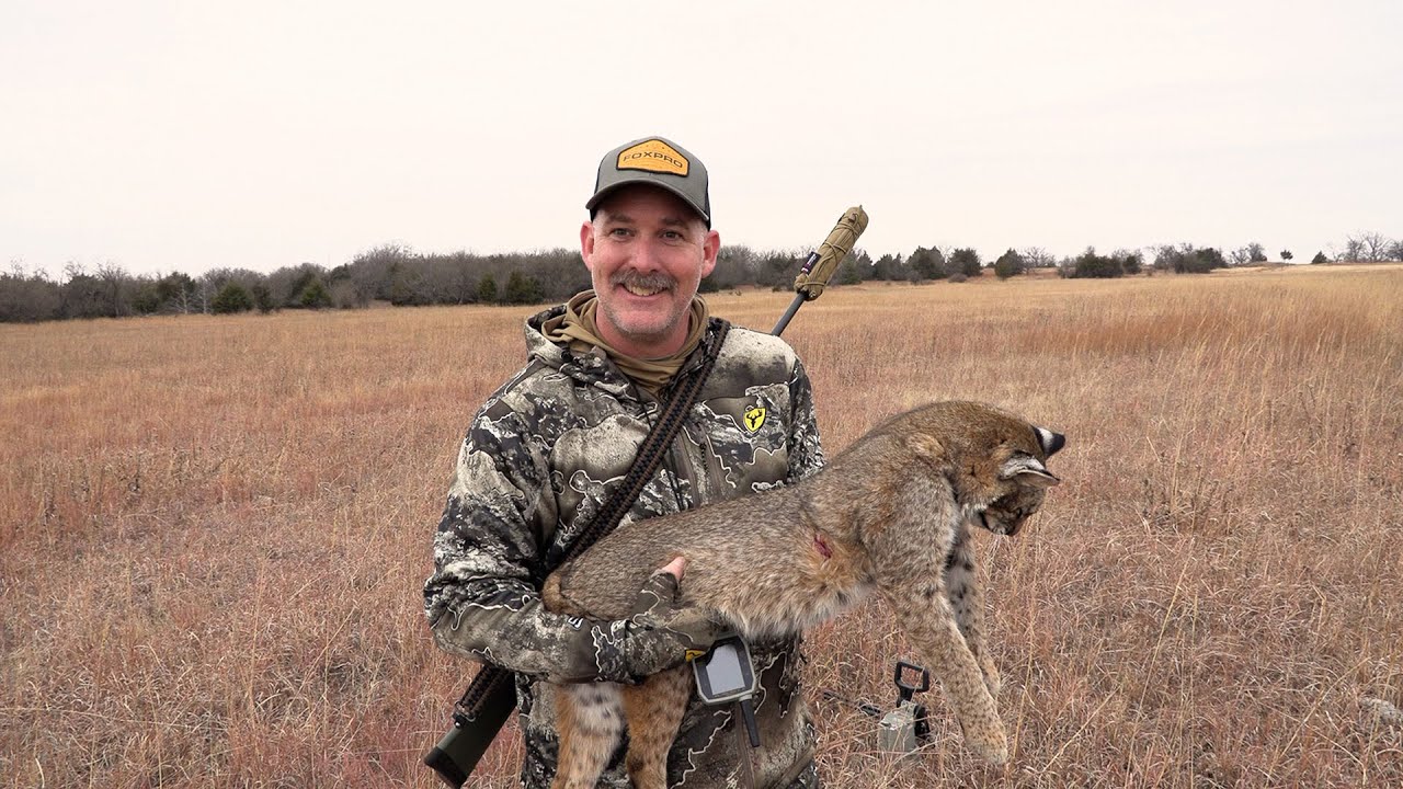 Hunting BIG Bobcats in Kansas - YouTube