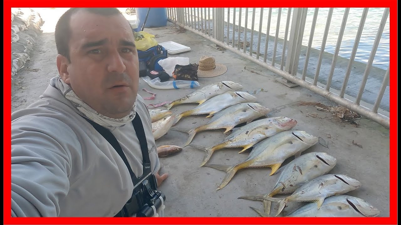 Pesca de jiguagua en Florida: la captura más extraña hasta ahora - YouTube