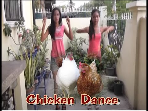 Chicken Dance - YouTube