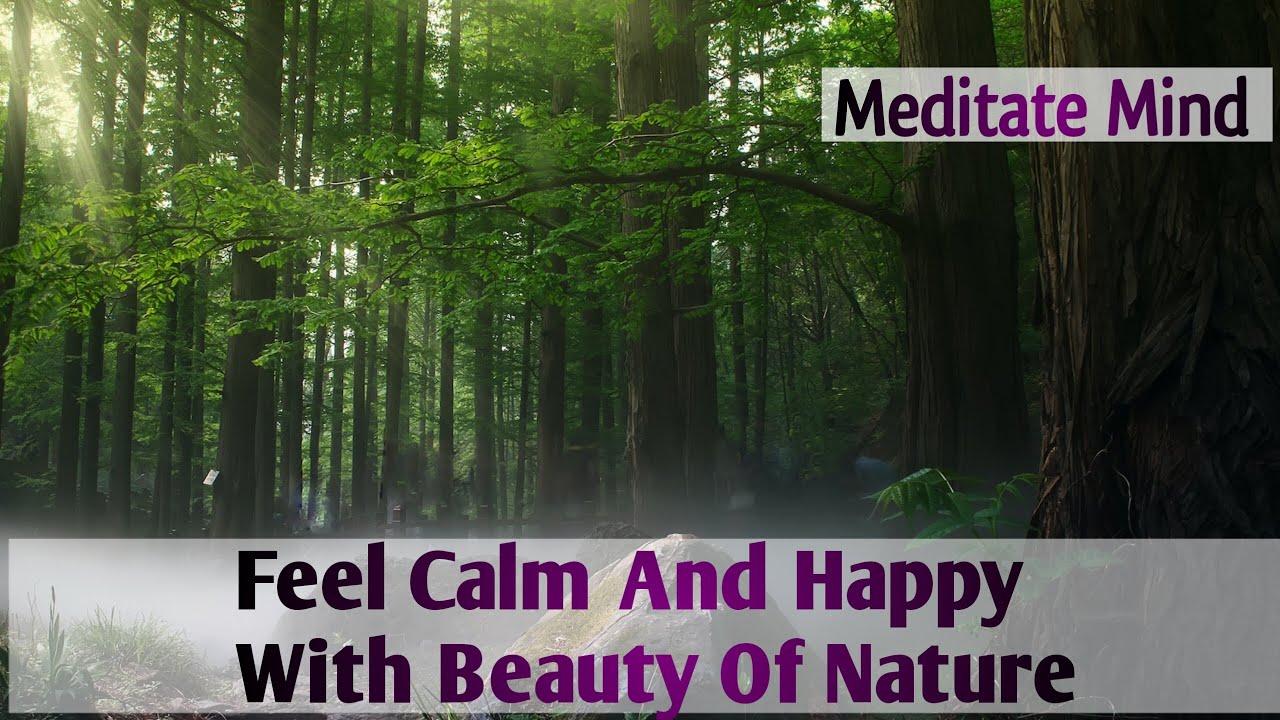 Just 10 Minutes Make Yourself Calm And Happy | Feel Happiness With ...