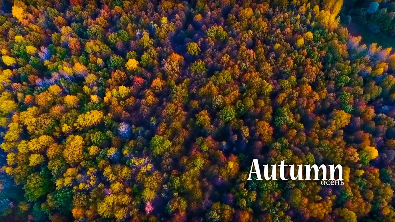 Осень * Russo Autunno * Russian Autumn - YouTube