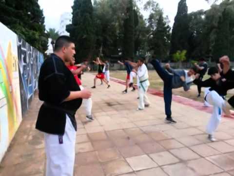Stage kick boxing kyokushinkai kempo tunisia - YouTube