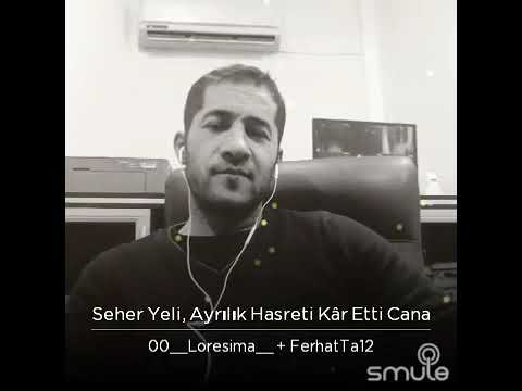 Musikili Ferhat seher yeli