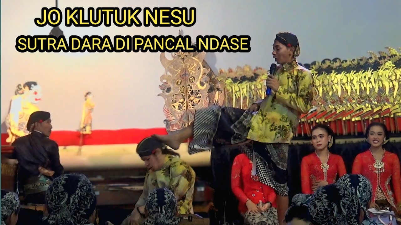 DUO JO BIKIN NGAKAK TERBARU 2025,, JO KLUTUK NESU SUTRA DARA DI PANCAL ...