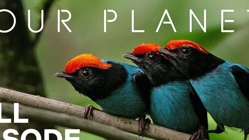 Our Planet | Netflix | Documentary Series
