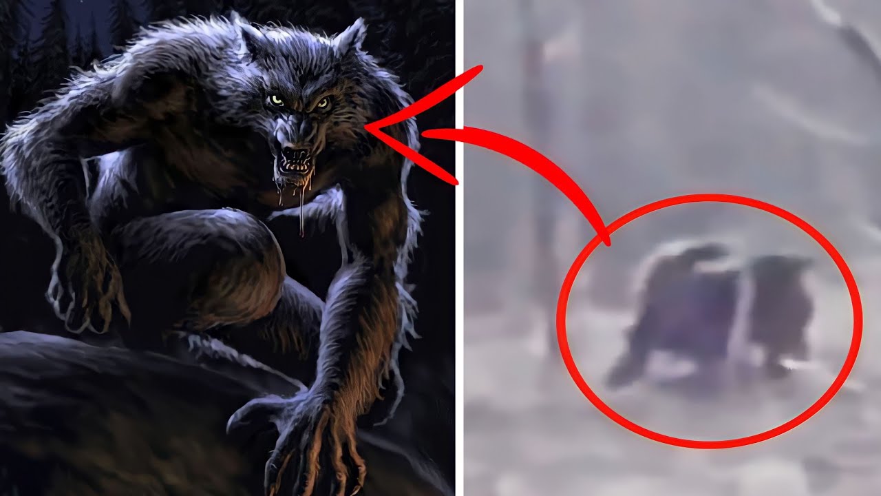 कैमरे मे कैद कुछ असली भेड़िया मानव| real werewolf caught on camera |caught on tape |werewolves ...