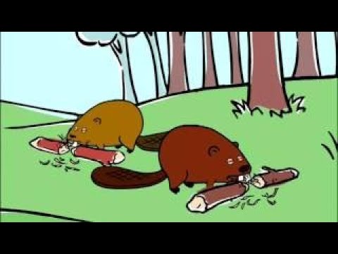 Peeps in Rabbitland - YouTube
