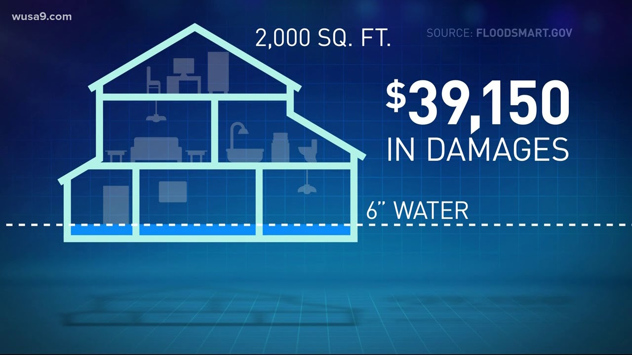 Flood damage vs. water damage: How to know what insurance will cover ...