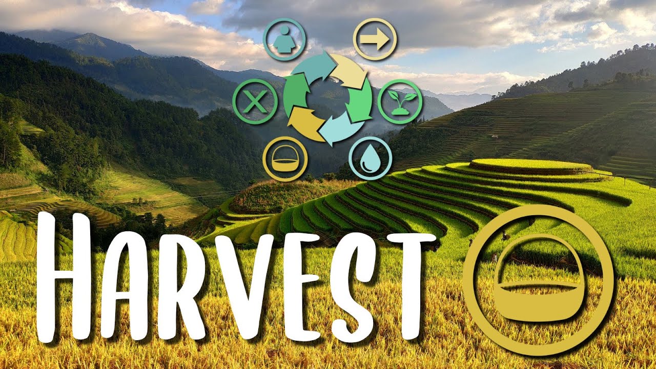 The Exponential Harvest Strategy - Harvest - YouTube