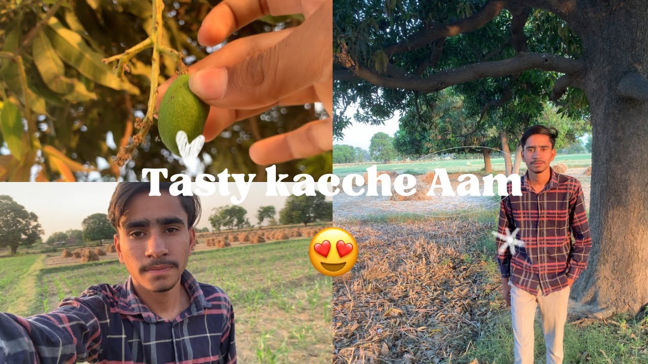 Tasty Kacche Aam😍||Rishi Yadav Vlogs - YouTube
