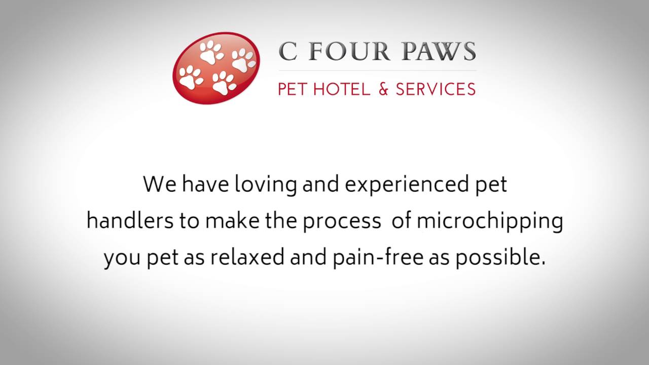 Pet Microchipping Services at C Four Paws - YouTube