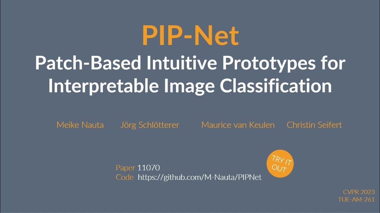 P20 - PIP-Net: Patch-Based Intuitive Prototypes for Interpretable Image Classification - YouTube