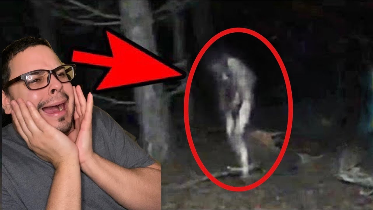 5 Mysterious Creatures Caught on Camera: Top 5 STRANGE CREATURES ...