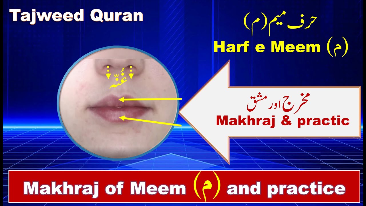 Makhraj of letter Meem (م) | How to pronounce letter Meem (م) in Arabic ...