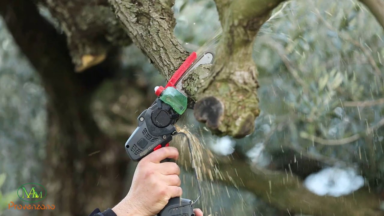 Potatore ZANON ZP100 - YouTube