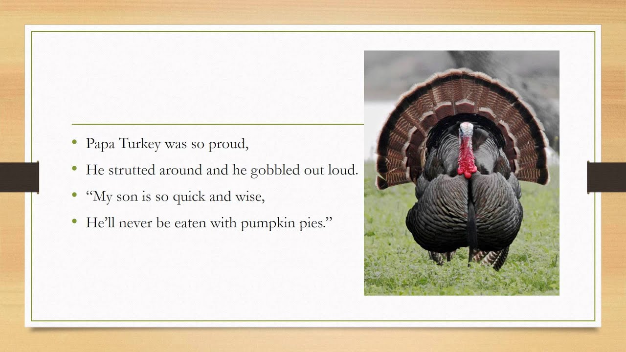Super Turkey! for IES Mavericks - YouTube