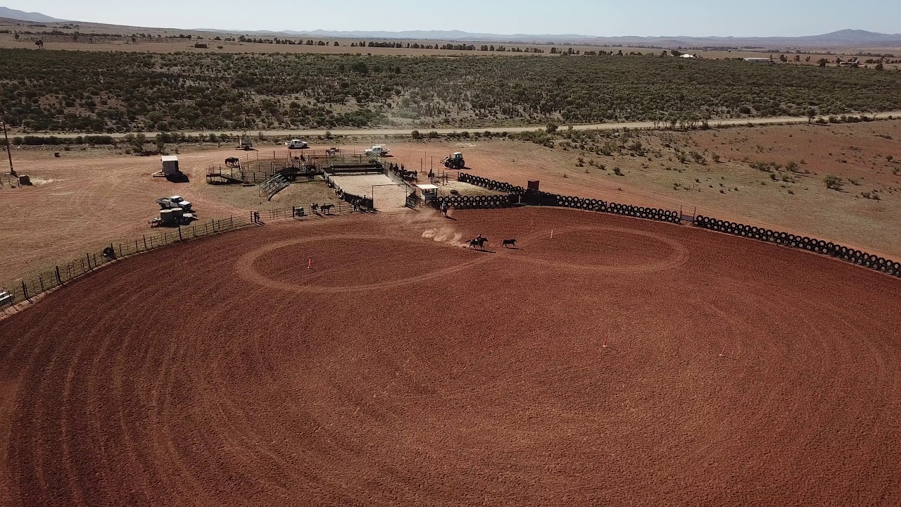 Willoughby Way Campdrafting Clinic - YouTube