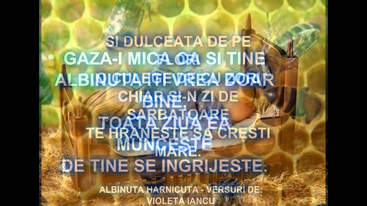 ALBINUTA HARNICUTA - VIOLETA IANCU - YouTube