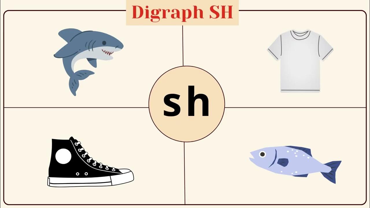 PHONICS: Digraph SH - YouTube