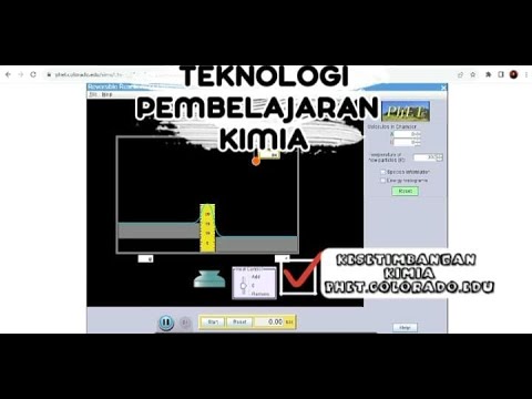 Tutorial Penggunaan Phet Colorado-Reversible Reaction - YouTube