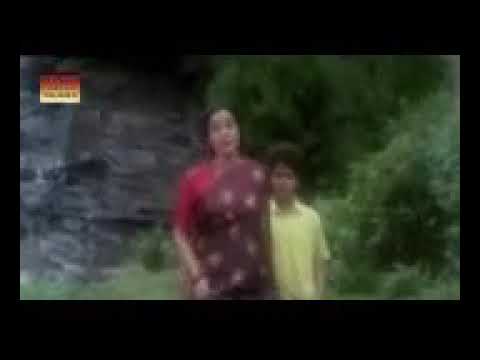 abdul hadi babu kha film tanedar