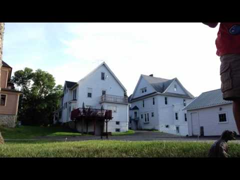 Prehistoric beast episode 1