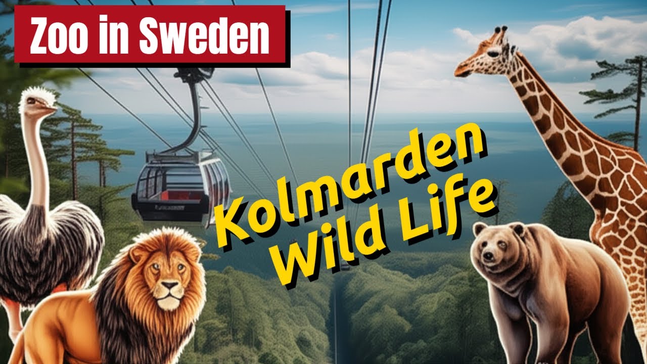 🇸🇪Exploring the Wildest Zoo in 2025 | KOLMÅRDEN | Kolmården wildlife ...