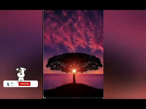 Muhteşem manzara resimleri👍