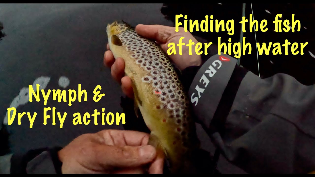 Catching some cracking trout after the high water #fishing # ...