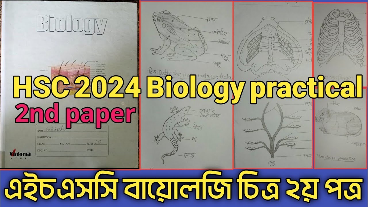 HSC 2024 Biology Practical 2nd paper Drawing and writing / এইচএসসি ২০২৪ ...