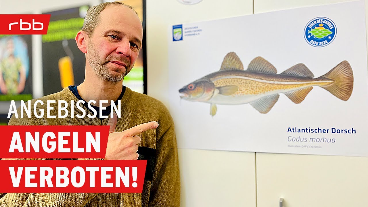Der Dorsch ist durch - mit Olaf Lindner vom DAFV | Angebissen - Der ...