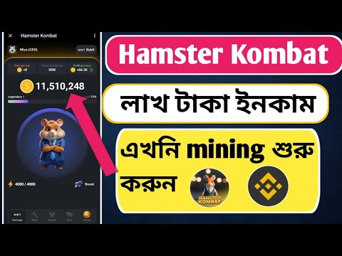 Hamster kombat | hamster kombat coin free mining | how to mining ...