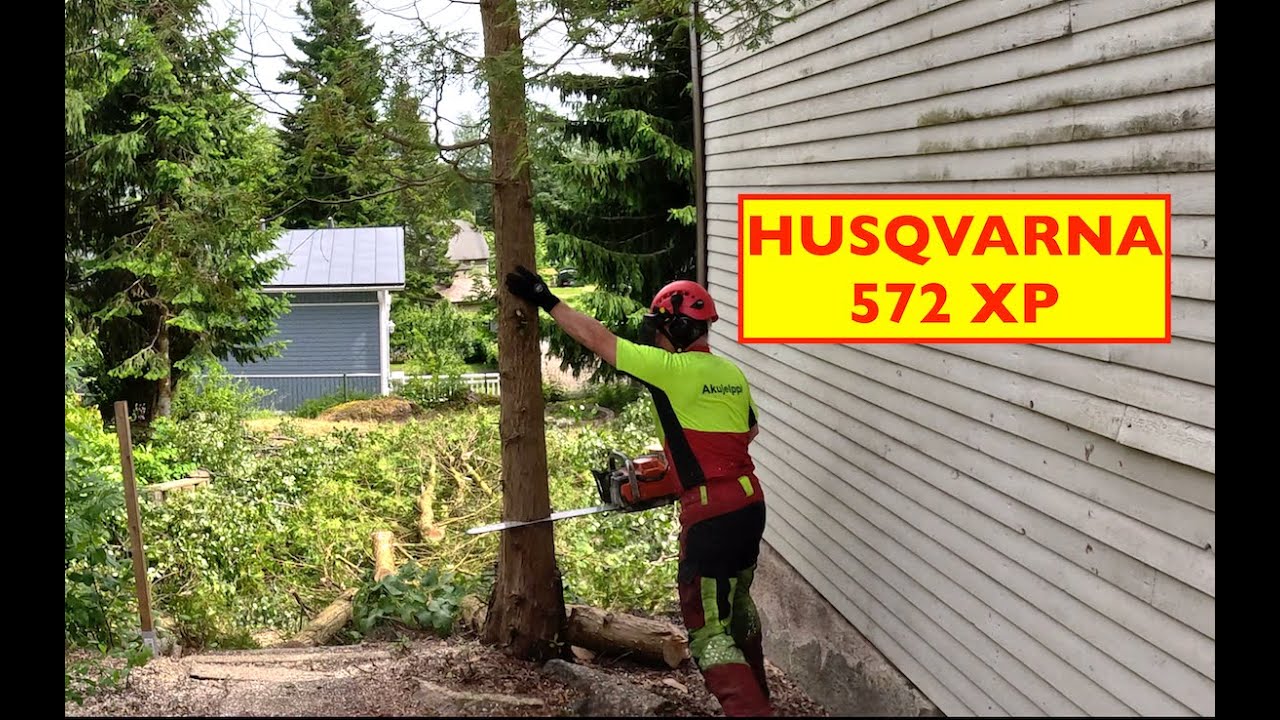 Riittääkö laippa? Loppuuko voima? Pro Finnish Lumberjack And Husqvarna ...