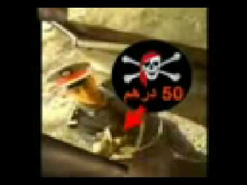 choha maroc