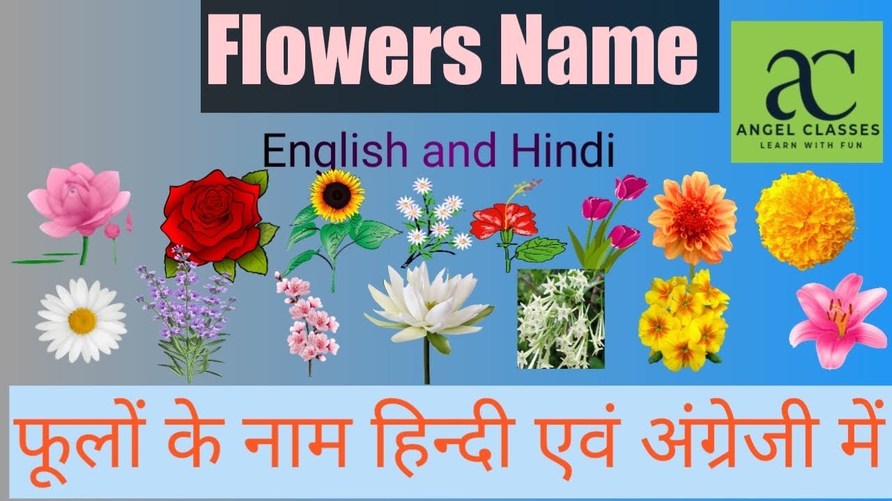 Names Of Indian Flowers In English 6 Season Names In English And Hindi
